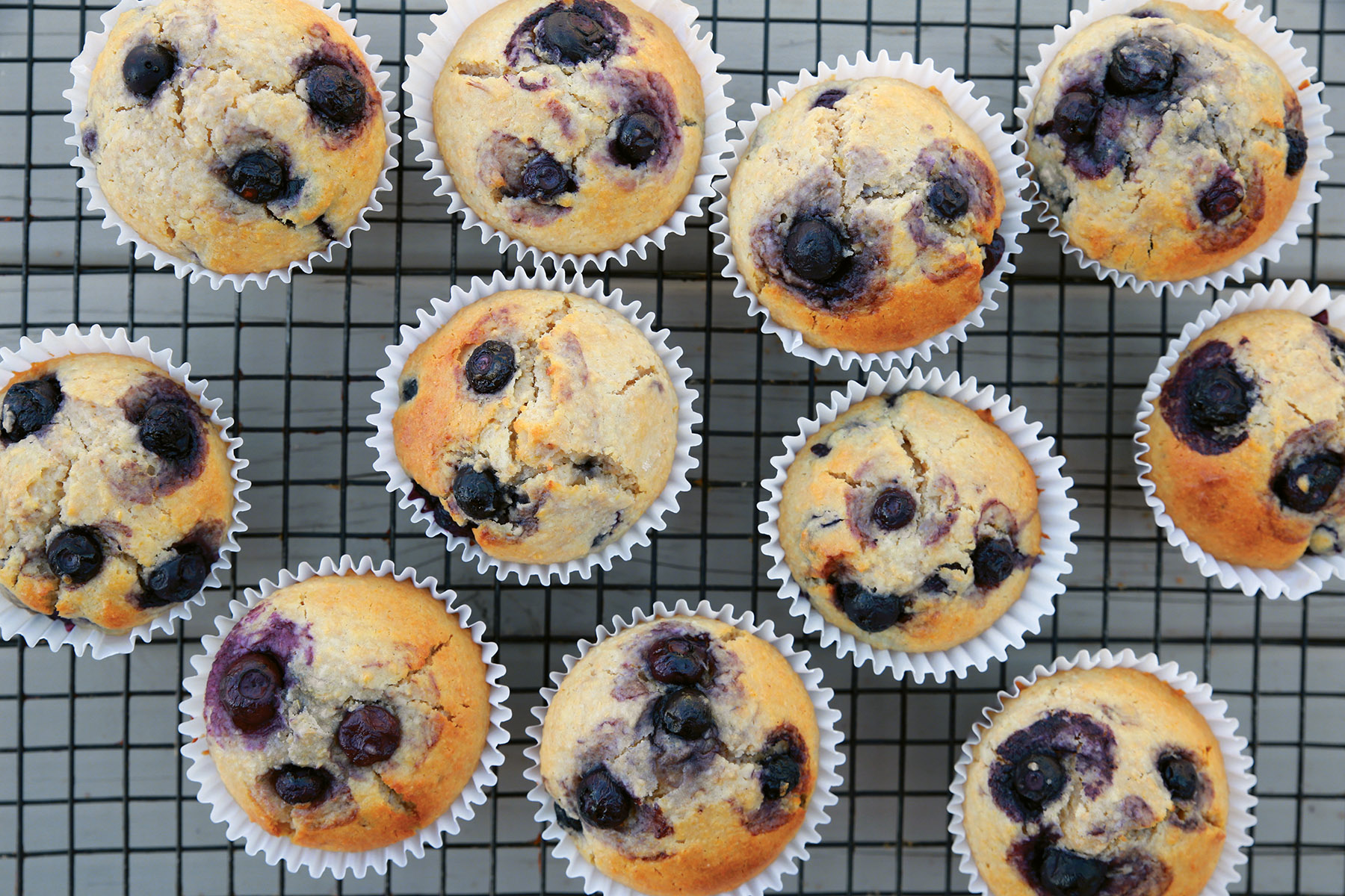 Blueberry Muffins - Captain Honey